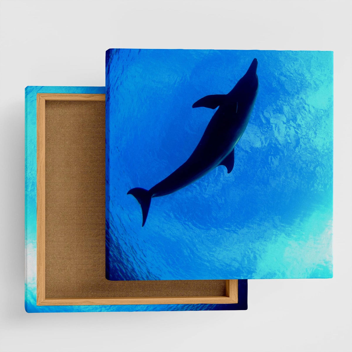 うみカメラマン「むらいさち」のファブリックパネル|イルカ アート 雑貨 mur-0002 – ArtDeli. アートパネル専門店