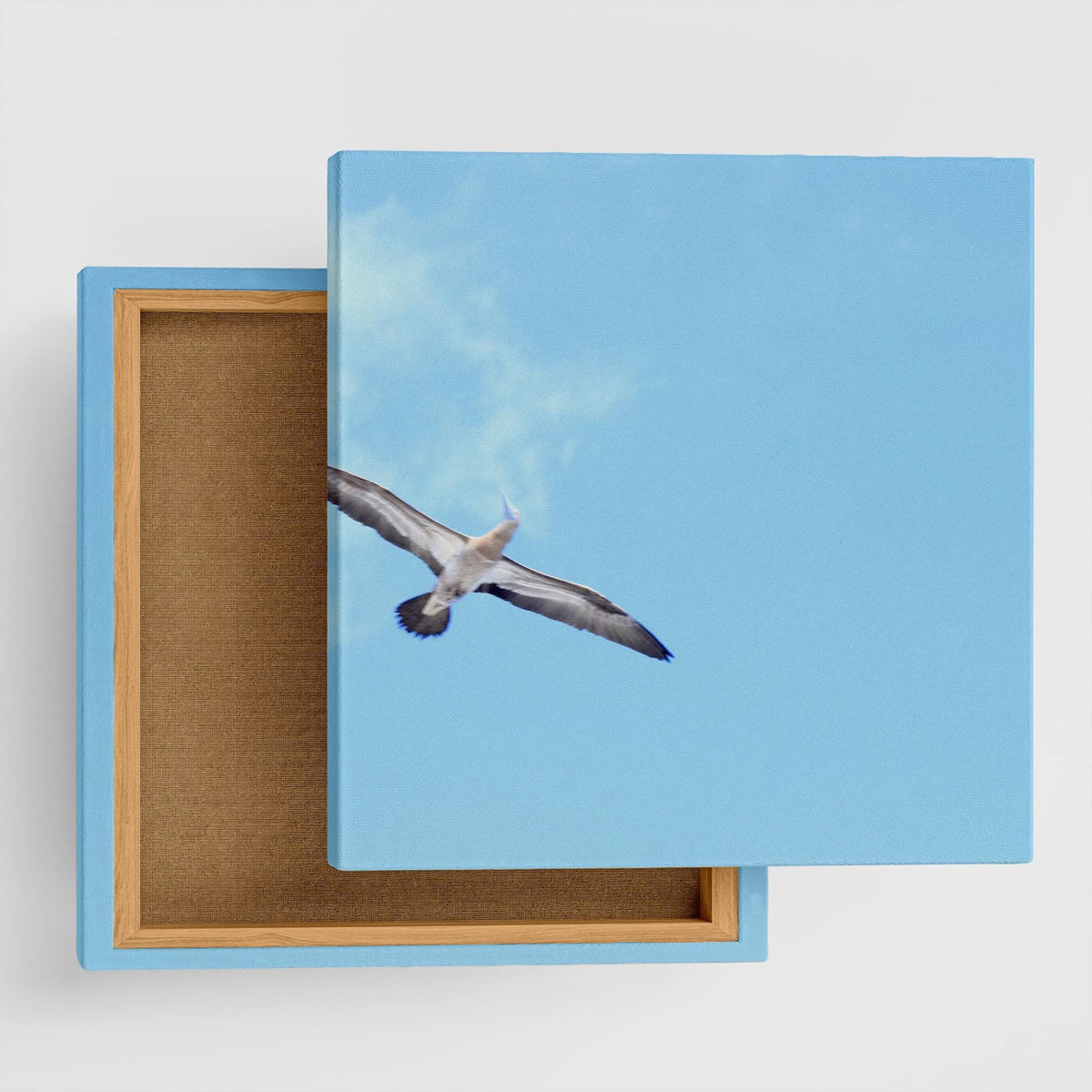 うみカメラマン「むらいさち」のファブリックパネル|青空 アート 雑貨 mur-0010 – ArtDeli. アートパネル専門店