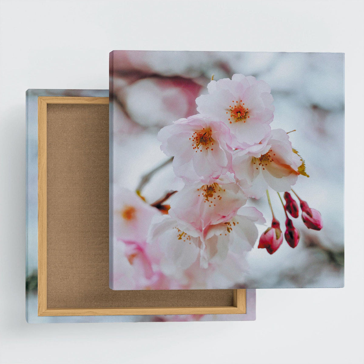 Flower art panel Interior goods Art panel Canvas Pink Cherry blossom p ...